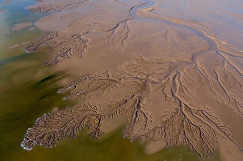 Collaboration for the Colorado River Delta - Raise The River